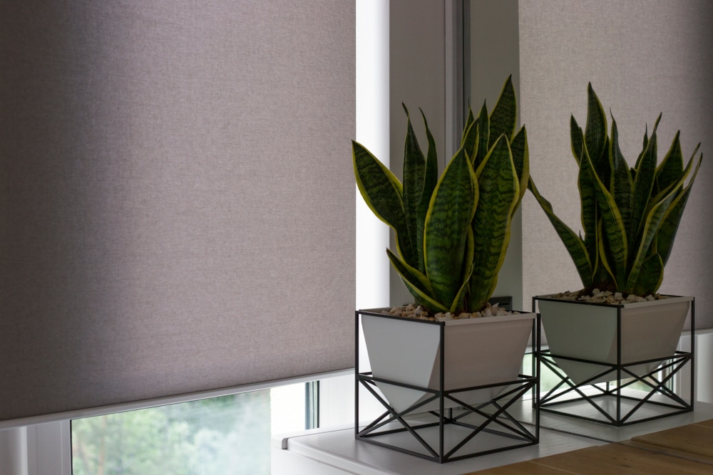 How To Pick The Right Style Of Shades For Your Home How To Pick The Right Style Of Shades For Your Home